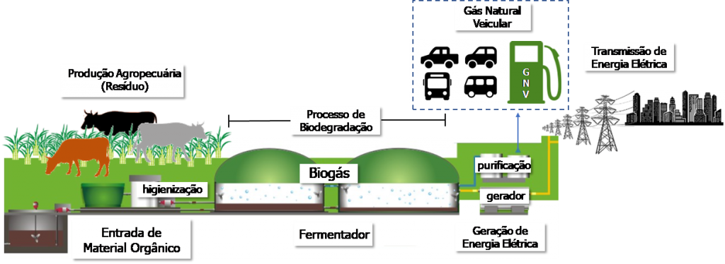 USINAS PARA GERAÇÃO DE BIOGÁS E ENERGIA – RCW